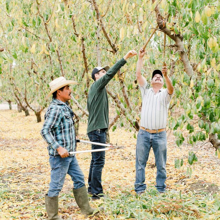 Family Tree Farms - Community Impact