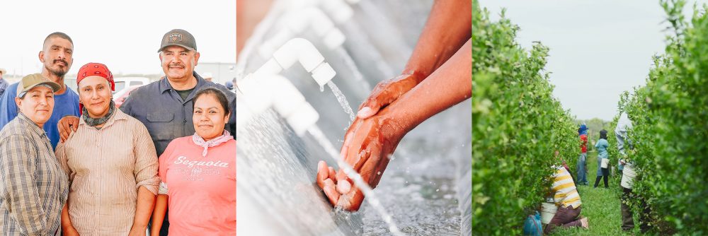 Family Tree Farms - Community Impact